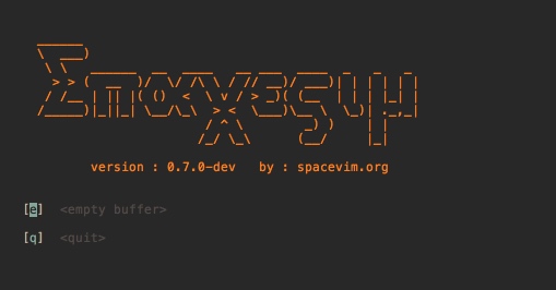 开始输入 · SpaceVim Tutorial